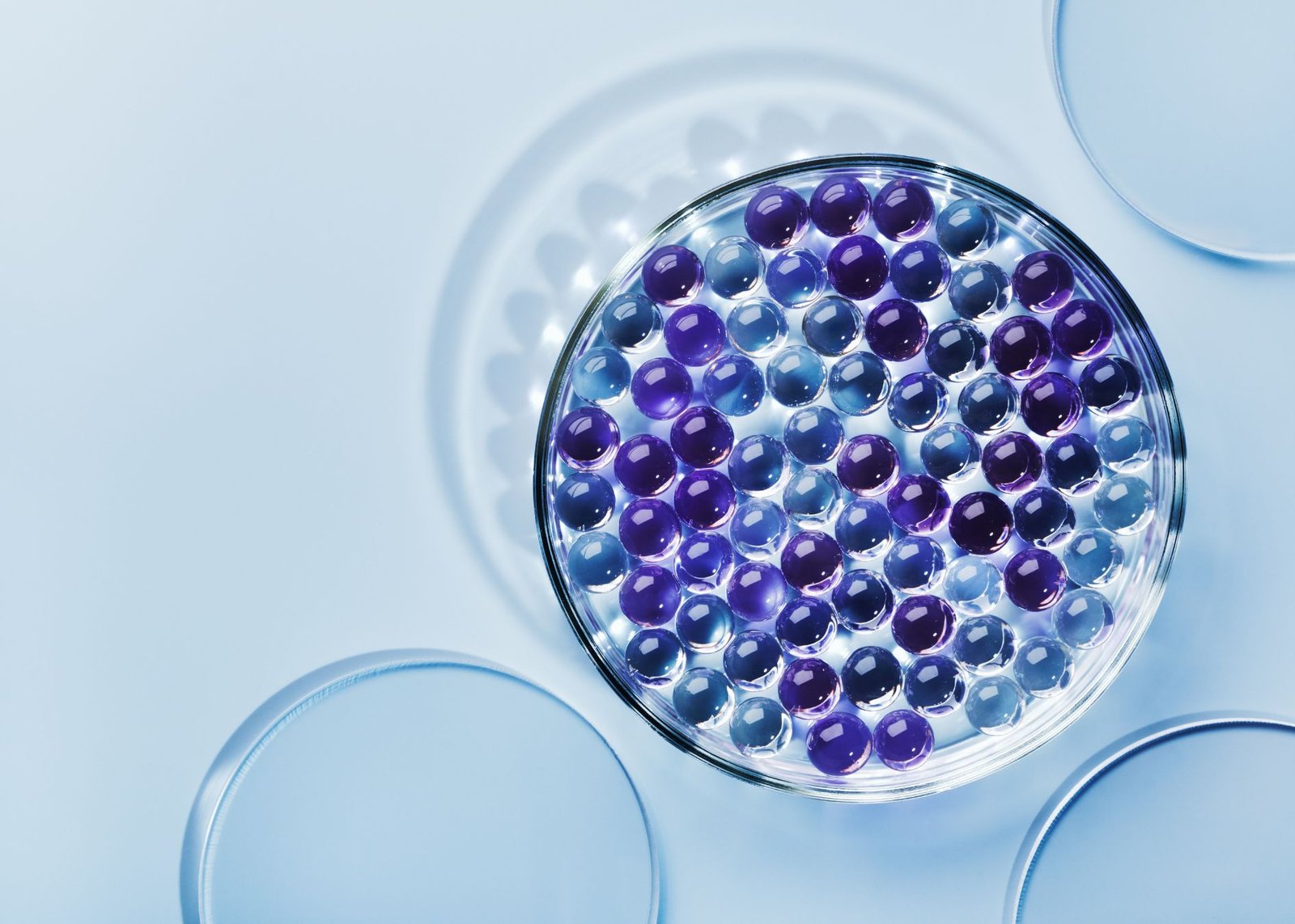 What is Liposomal Dosage Form? Discover the 3 Amazing Properties ...